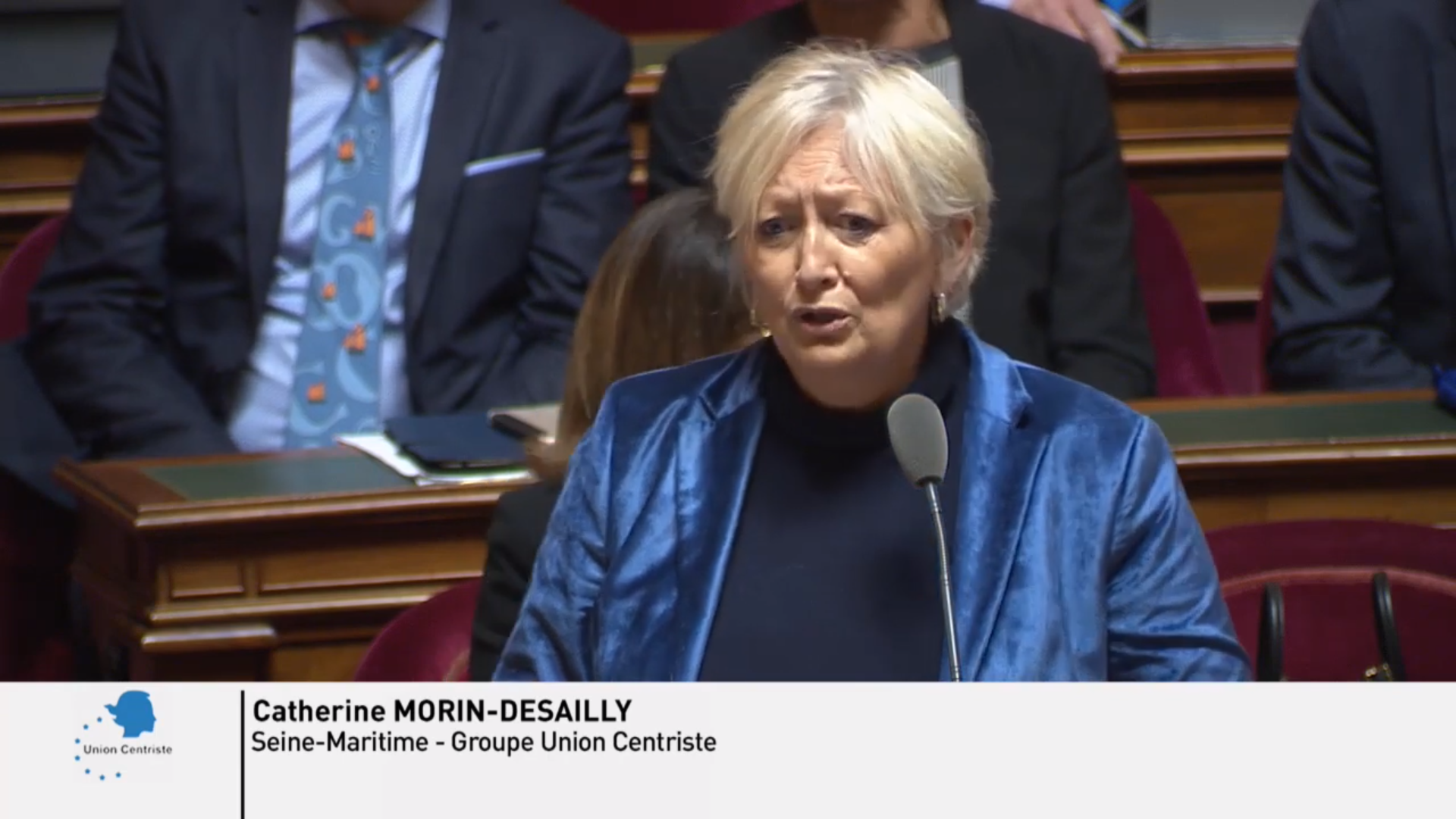 Catherine Morin-Desailly : "Il faut reconstruire de toute urgence notre ...